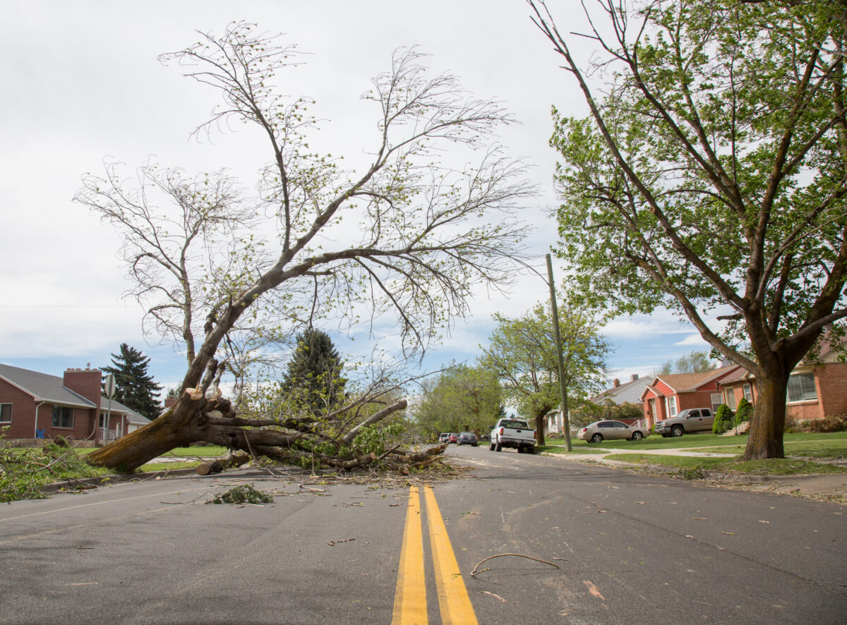 Wind storm causes power outages and damage in Northern Utah | News ...